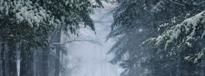 Home | Village of Chenequa, Wisconsin